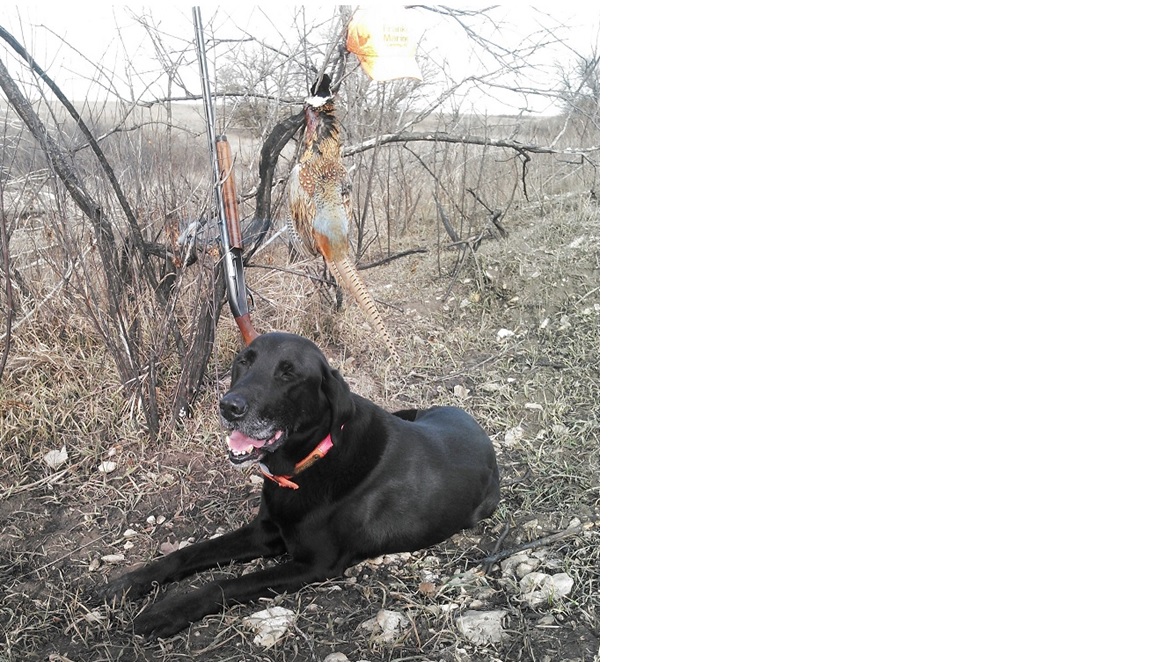 Other Hunting Pictures - Fort Riley - iSportsman