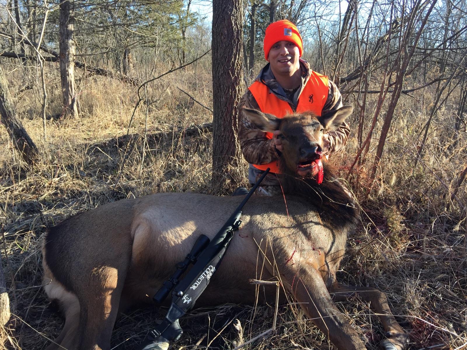 Elk images 2015 & 2016 - Fort Riley - iSportsman