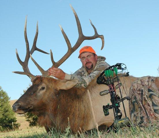 Elk images 2015 & 2016 - Fort Riley - iSportsman